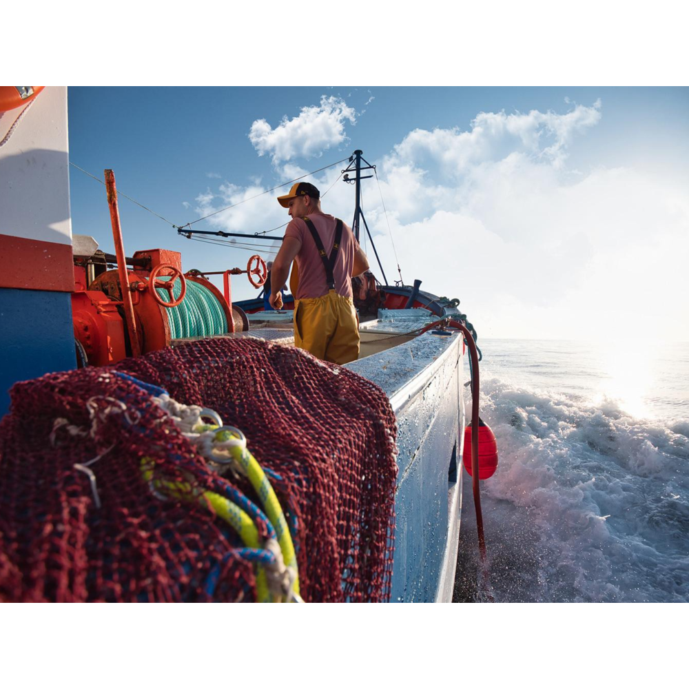 Bib and Braces with Fly | Lifting Gear & Safety